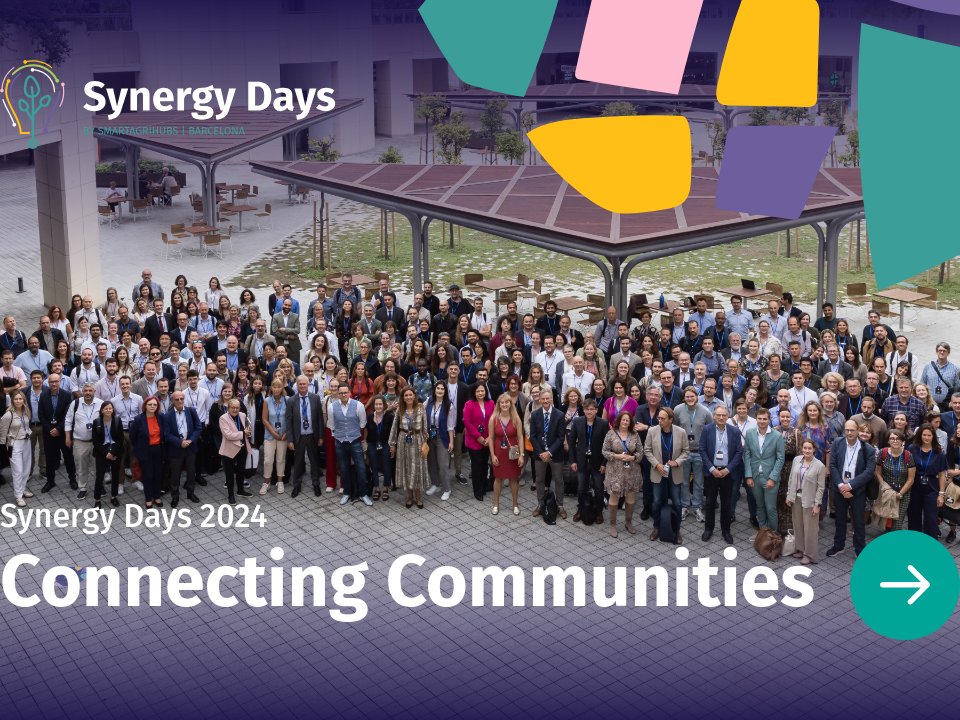 The Synergy Portal - Synergy Days 2024
